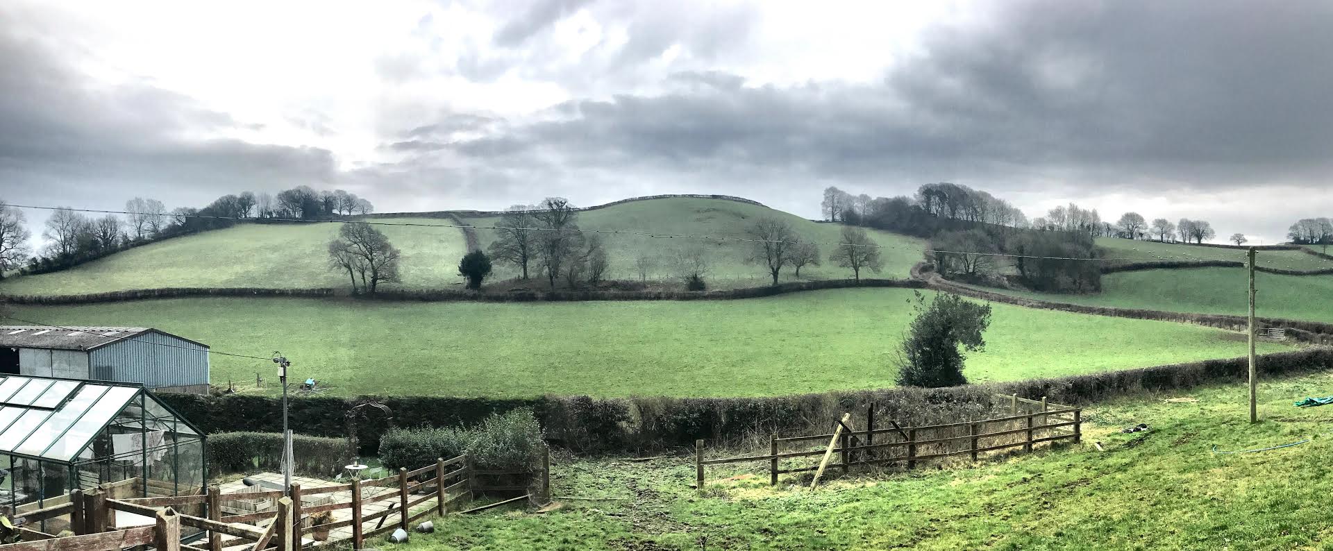 Dog Breeders in Carmarthen | Brooknant Kennels